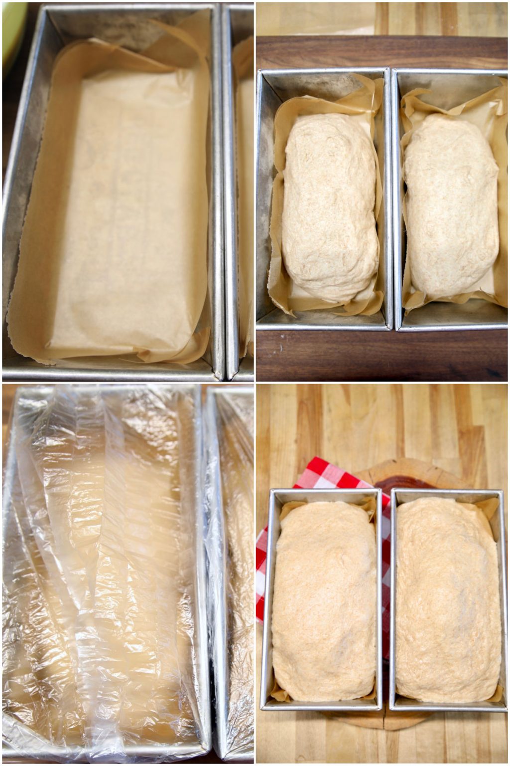 Wheat Bread Recipe - My Bread Recipes